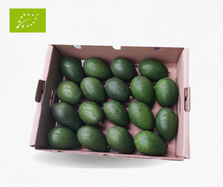 Aguacate Bacon Eco (4Kg) - Frutas Agrojete
